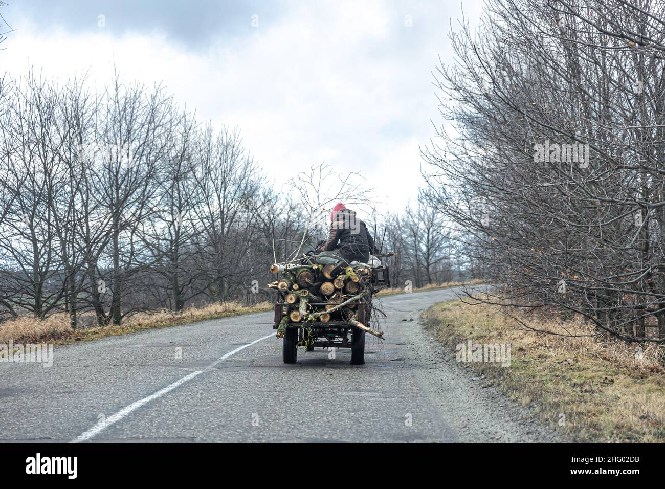 Cart with tree logs, rural landscape, back view Stock Photo - Alamy