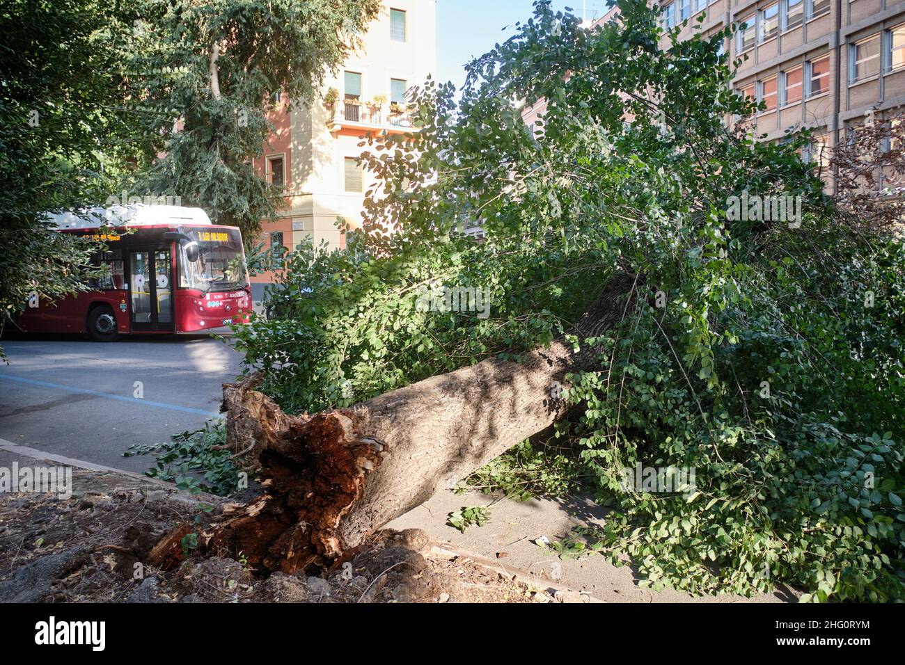 Mauro Scrobogna /LaPresse August 12, 2021 Rome, Italy News Urban ...