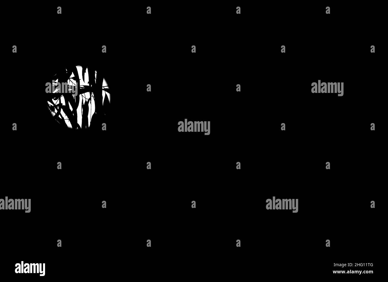 Full moon behind branches of a tree hi-res stock photography and images ...