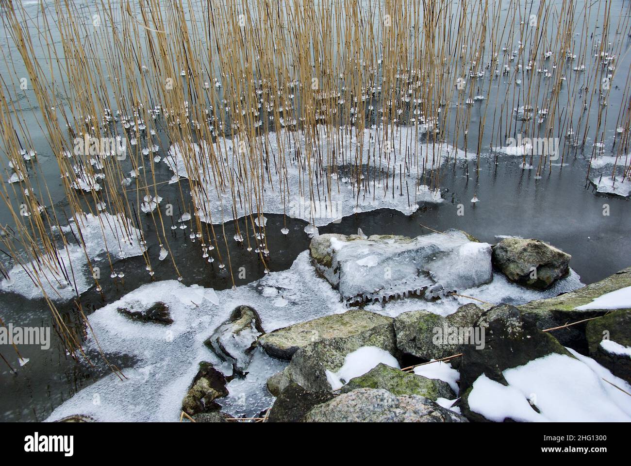 Seashore in winter beach hi-res stock photography and images - Alamy