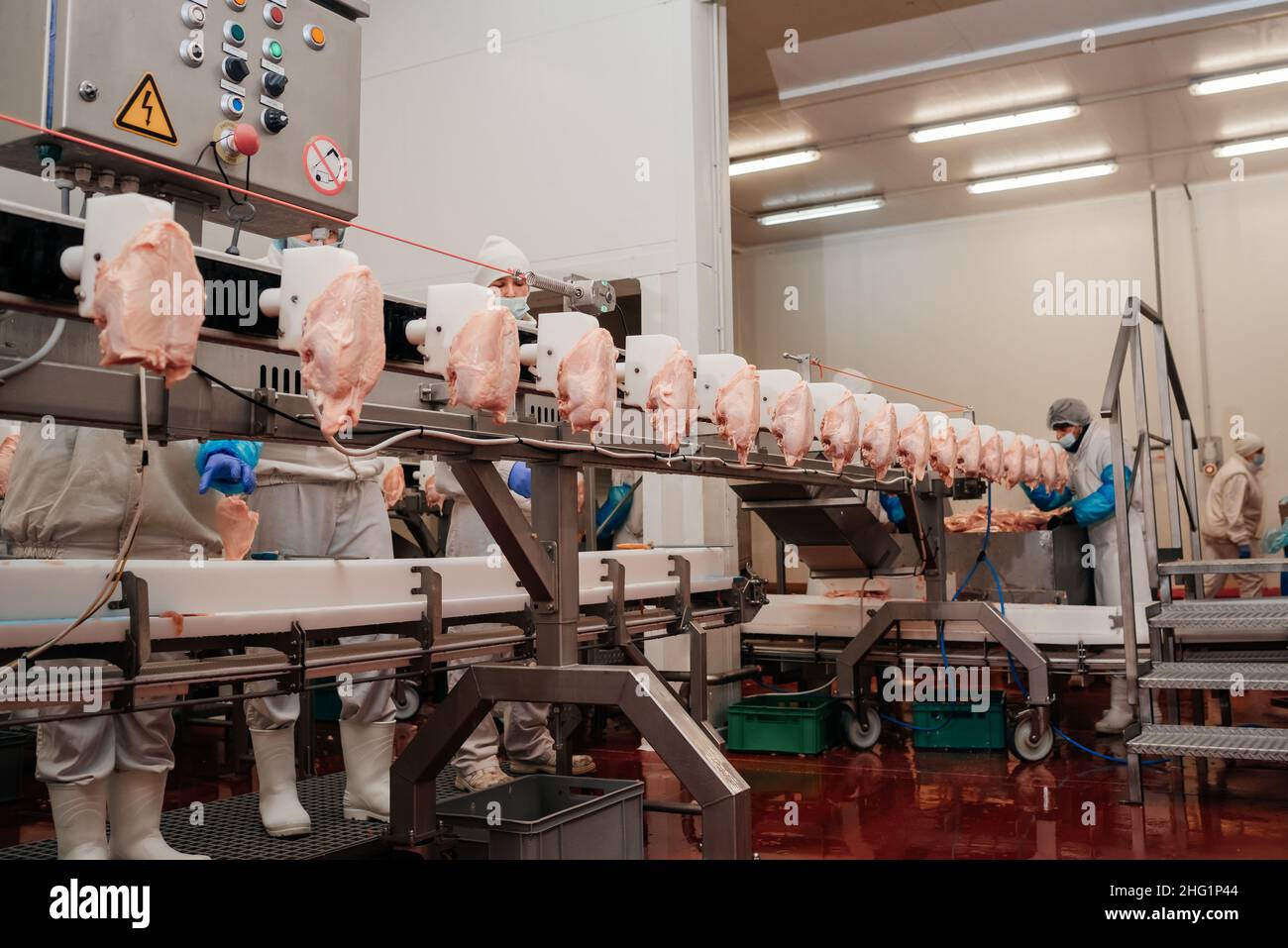 Chicken fillet production line . Factory for the production of food ...