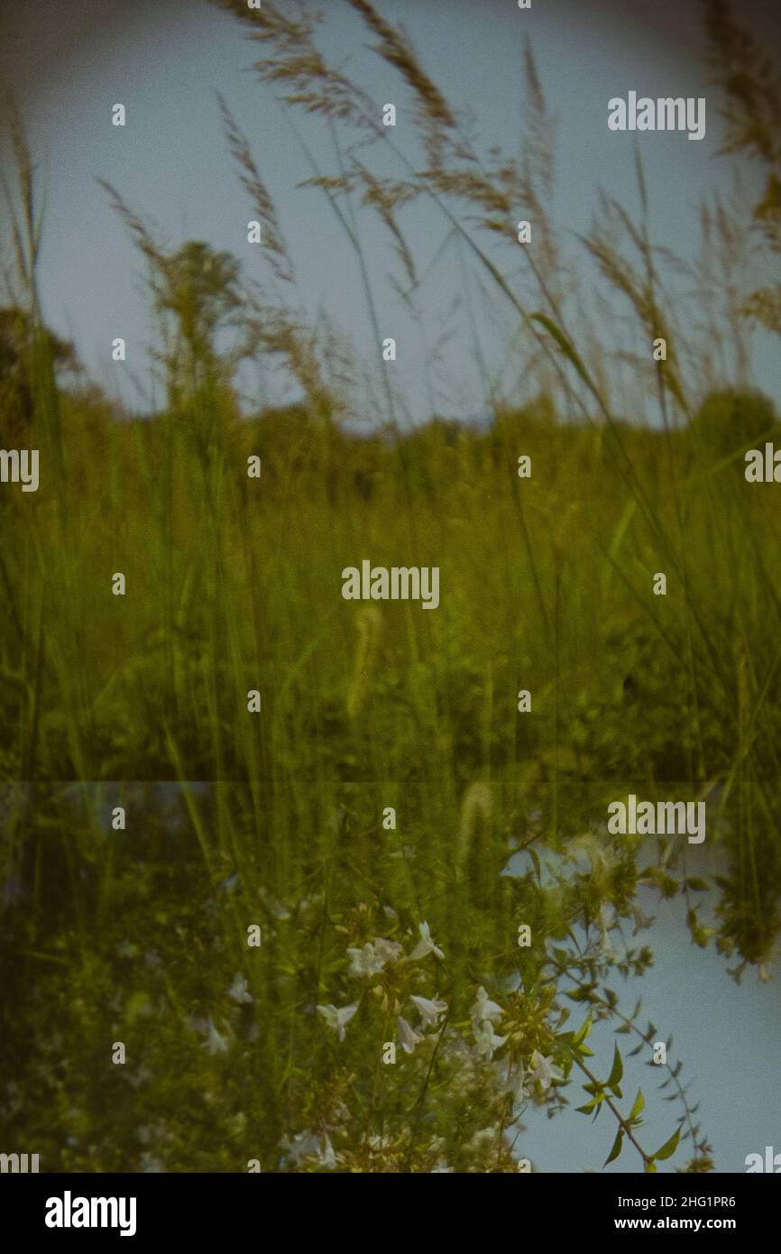 Abstract Multiple Nature Exposure Background Warm Tone Stock Photo - Alamy