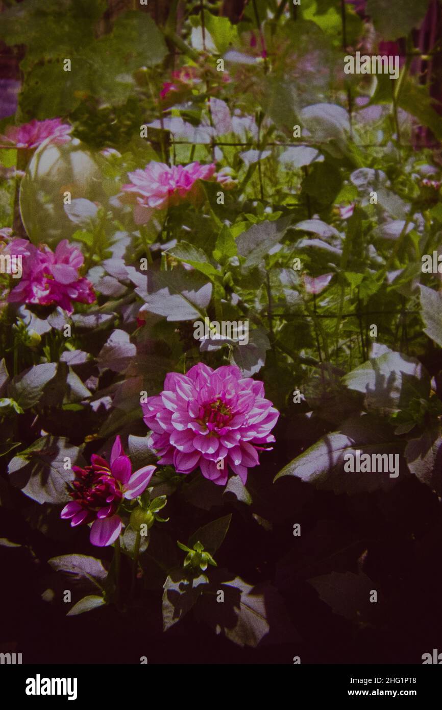 Abstract Film Vintage Look Background Stock Photo - Alamy