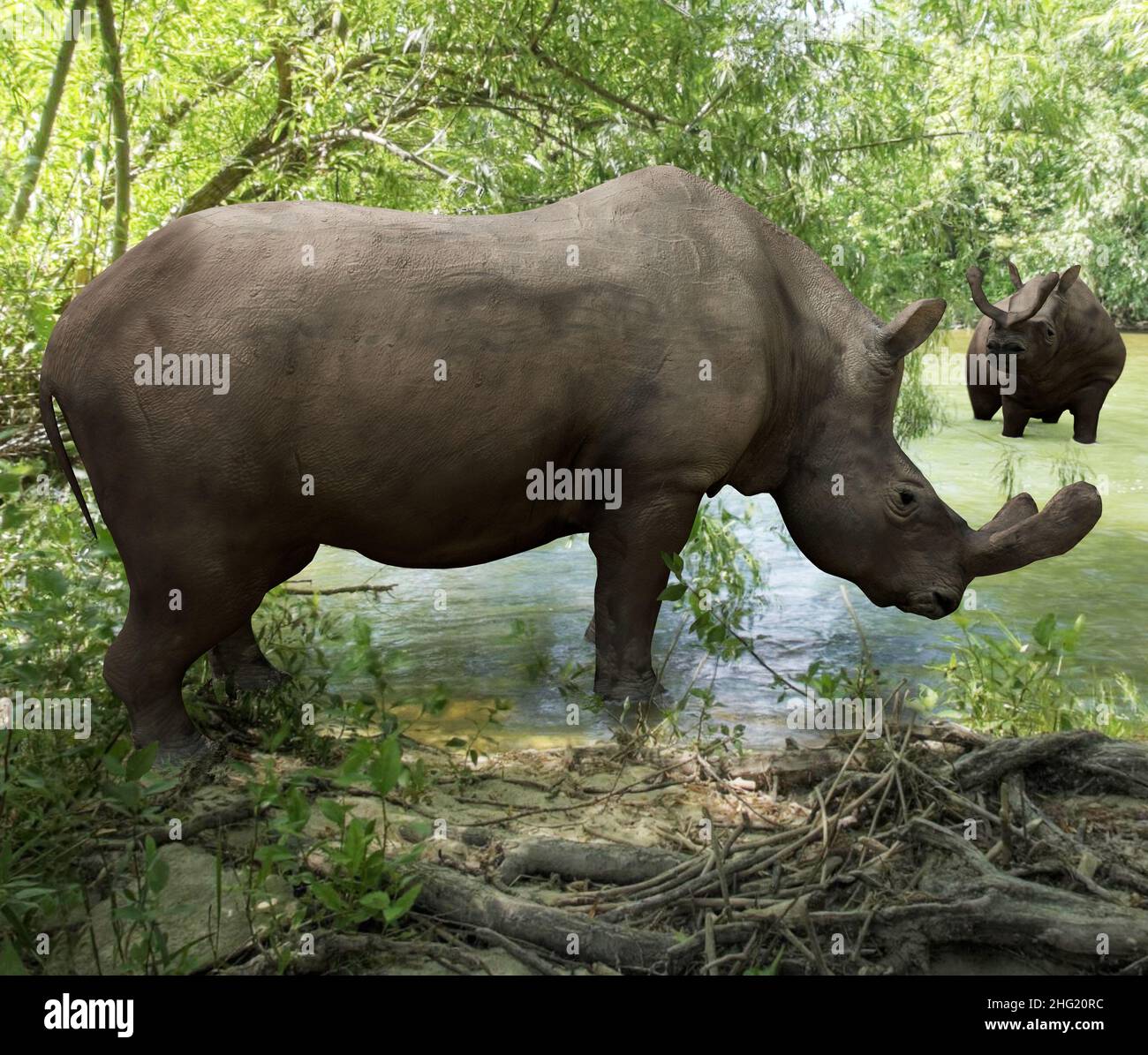 Prehistoric mammals illustration hi-res stock photography and images ...