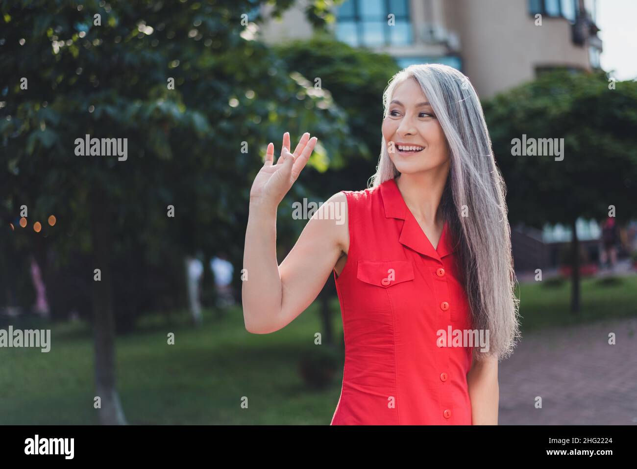 Portrait of attractive cheerful grey-haired woman waving hello meeting ...