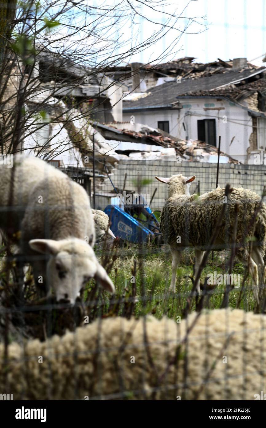 General views of the devestation that struck the medieval town of Onna ...