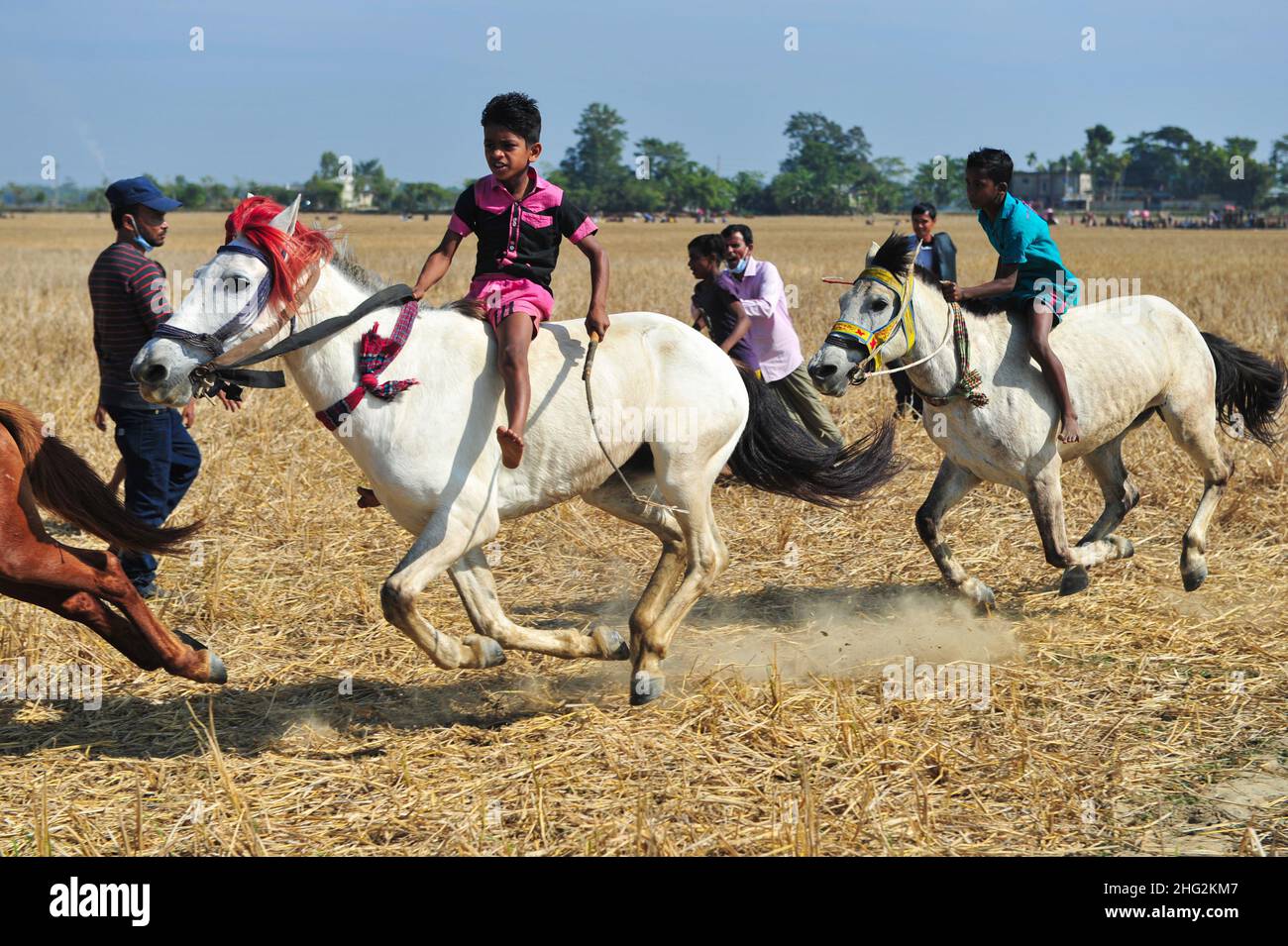 Rural horse race of bangladesh hi-res stock photography and images - Alamy