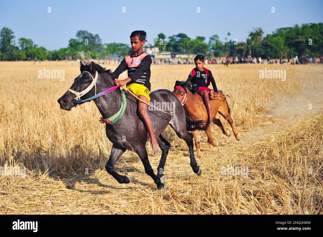 Rural horse race of bangladesh hi-res stock photography and images - Alamy