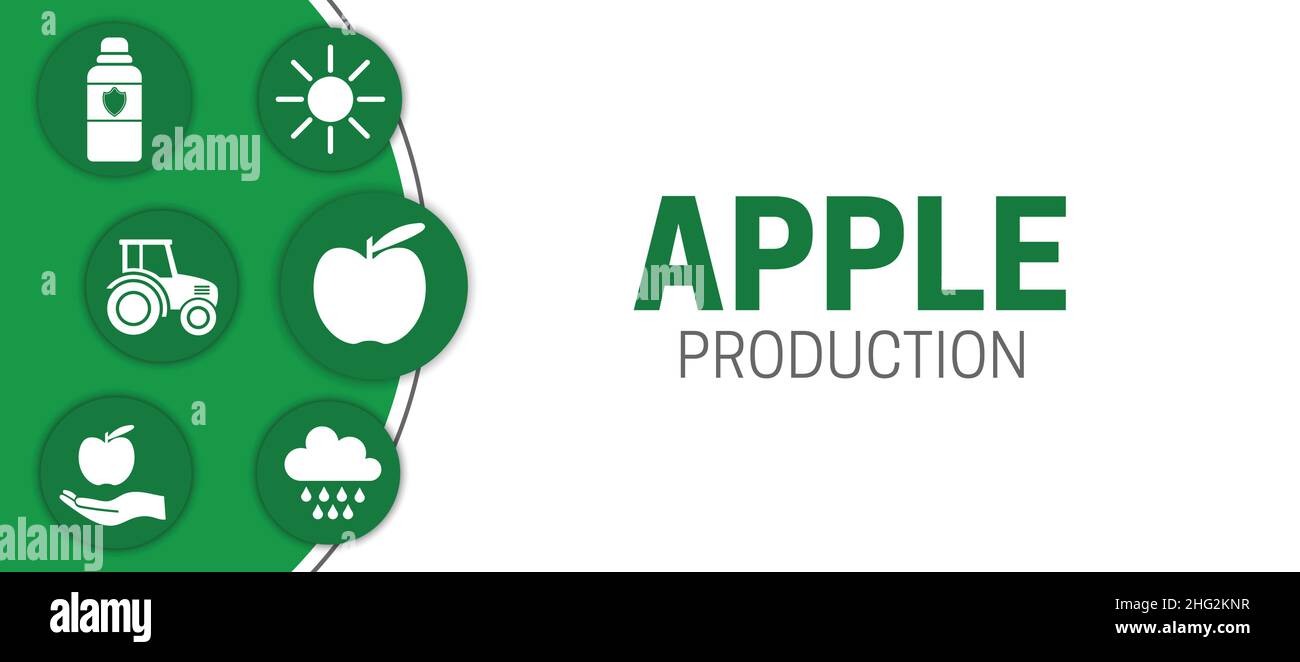 White Apple Production Illustration Banner Stock Vector Image & Art - Alamy