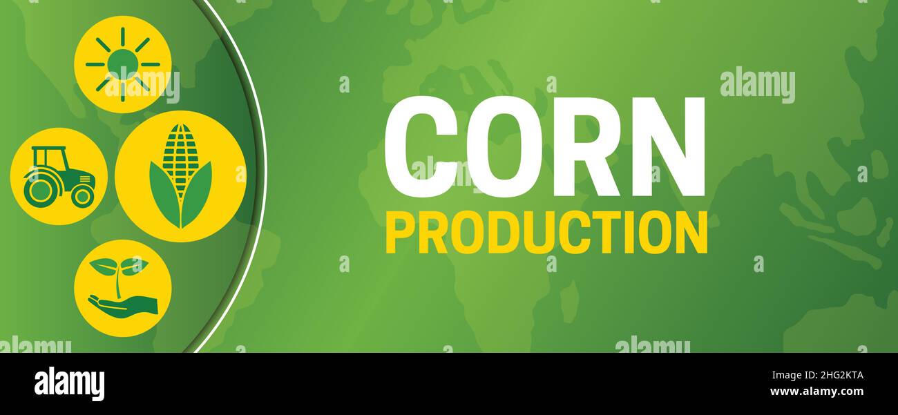Corn Production Agriculture Illustration Design with Icons Stock Vector ...