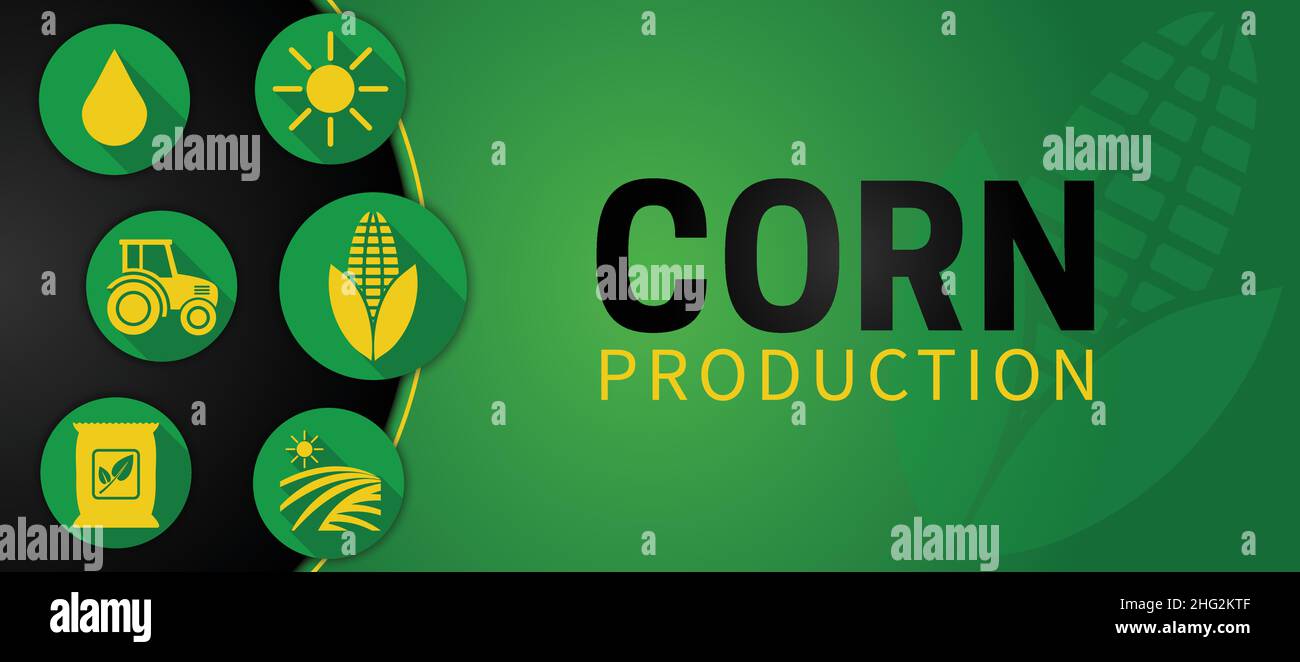 Corn Production Agriculture Illustration Background with Icons Stock ...