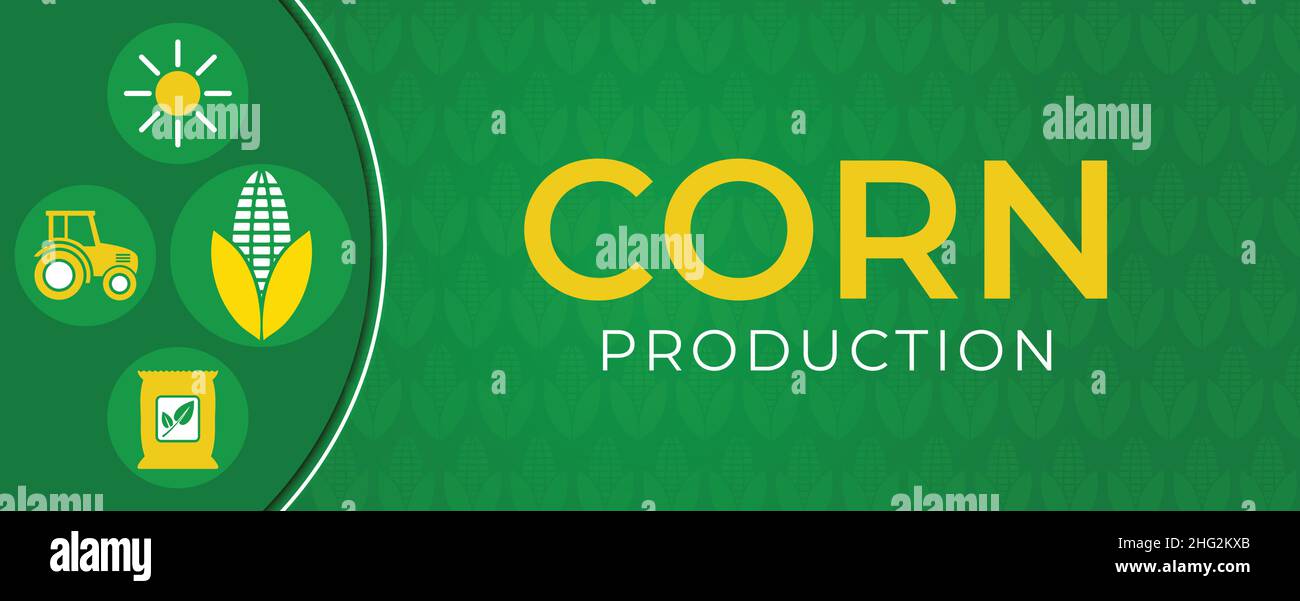 Green Corn Production Agriculture Illustration Design with Yellow Icons ...
