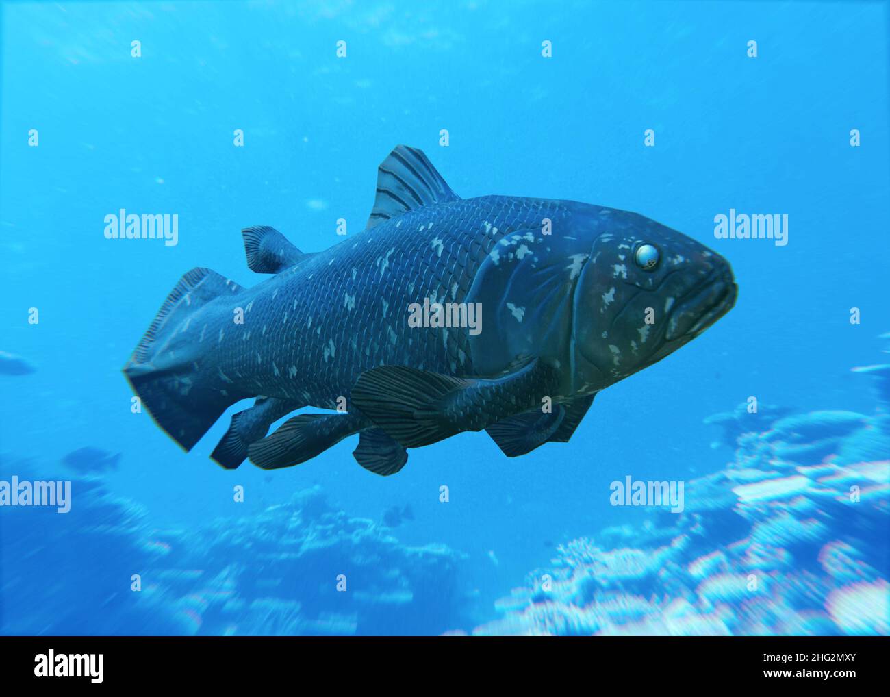 Prehistoric coelacanth fish hi-res stock photography and images - Alamy