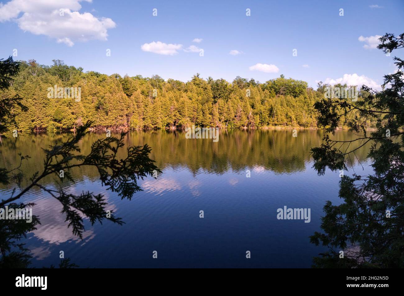 Beautiful summer landscape with lake surface reflecting blue sky white ...