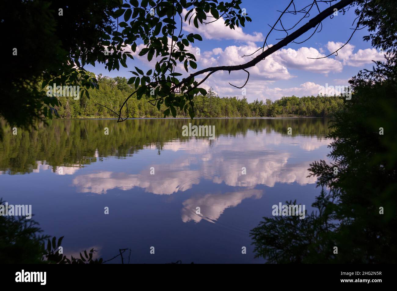 Beautiful summer landscape with lake surface reflecting blue sky white ...