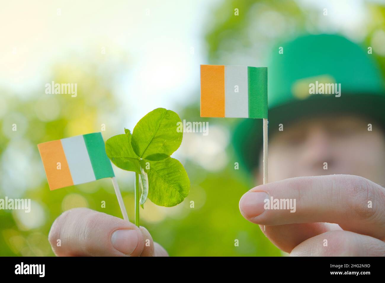 Saint Patrick background. Ireland flag and clover flowers in sunbeams ...
