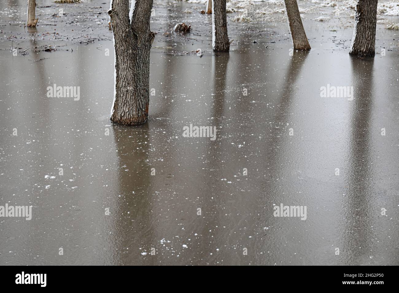 Frozen pond in winter park Stock Photo - Alamy