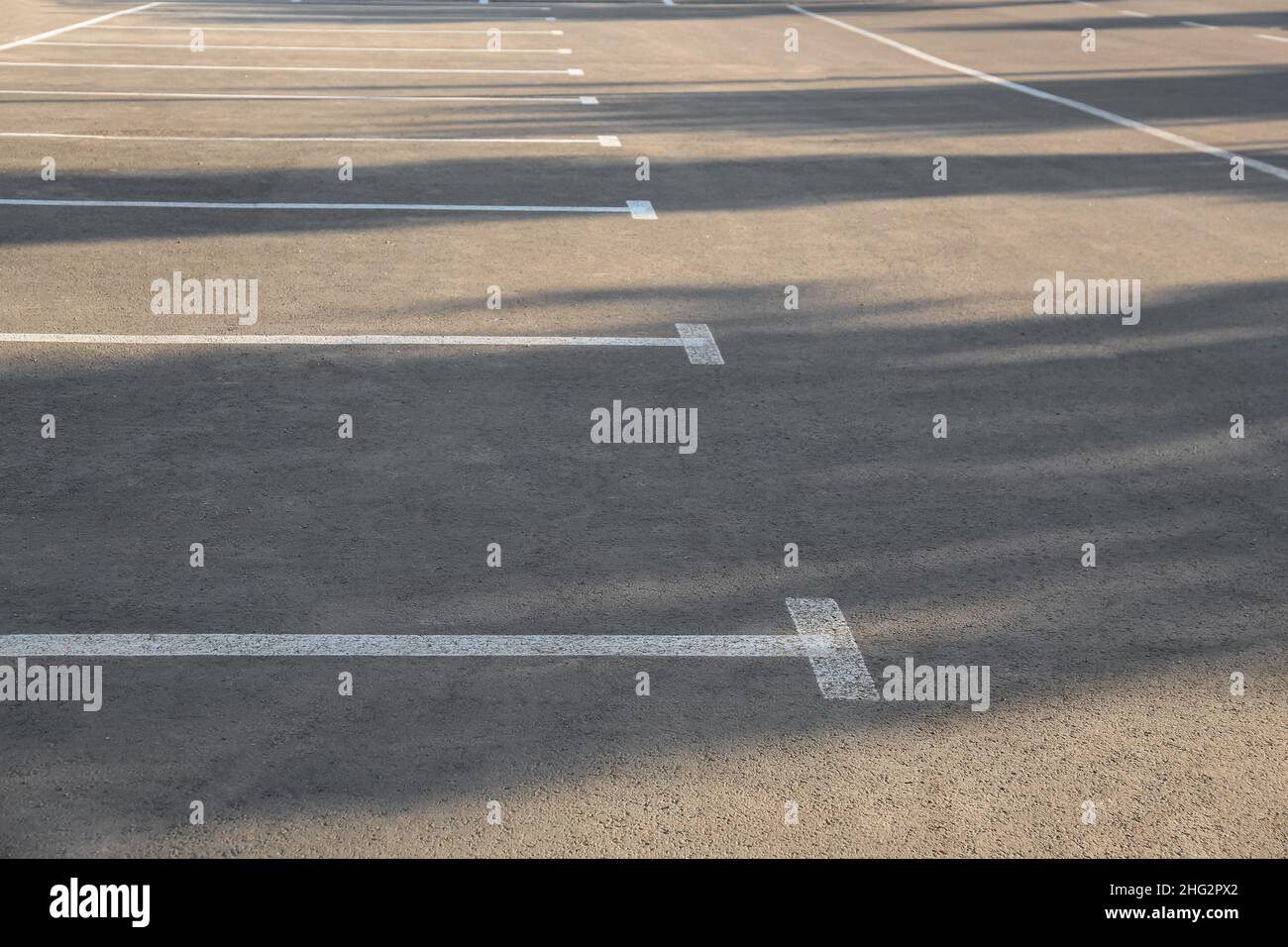 Empty parking lot with white marking lines Stock Photo - Alamy