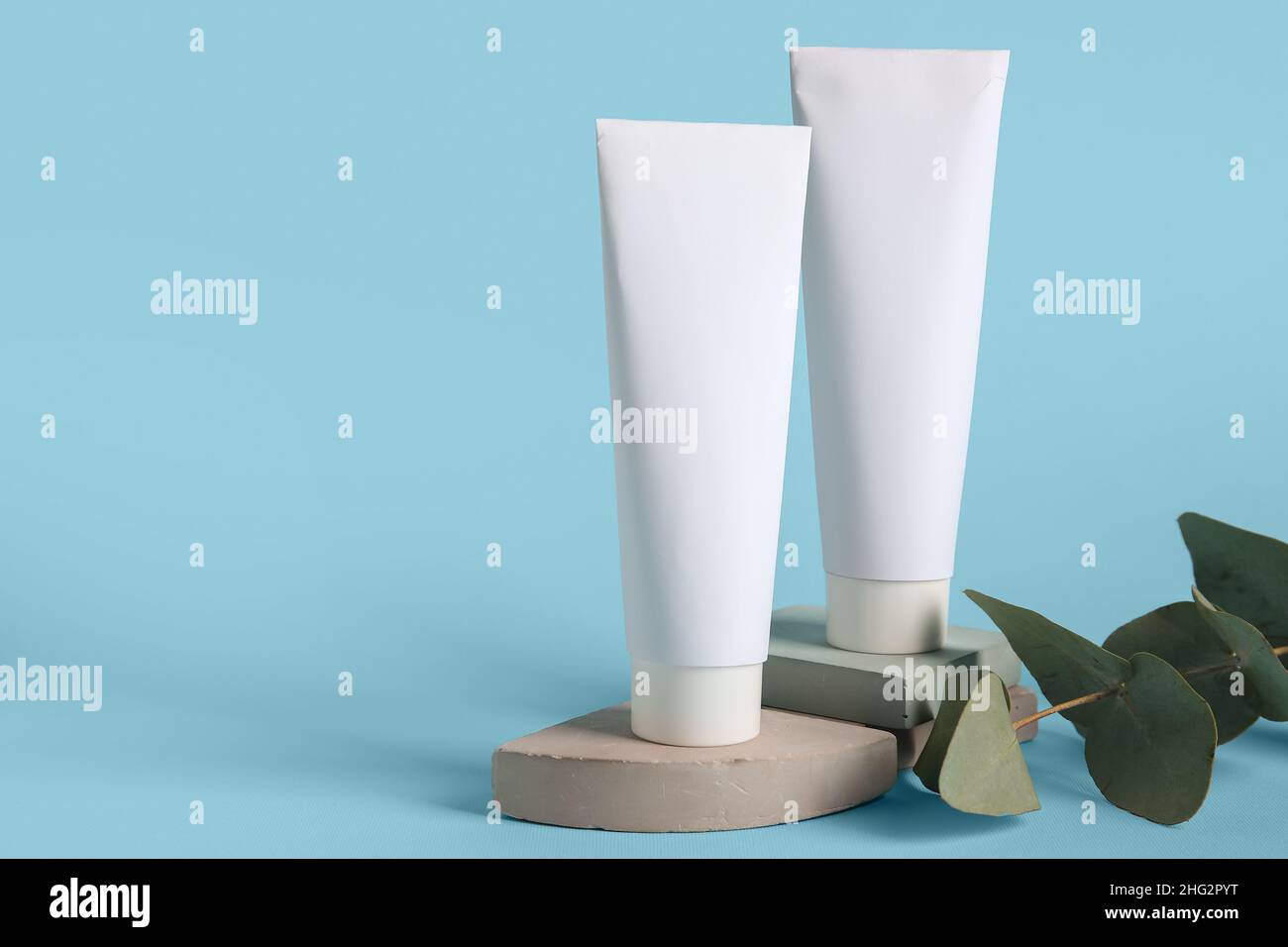 Branch of dental care hi-res stock photography and images - Alamy