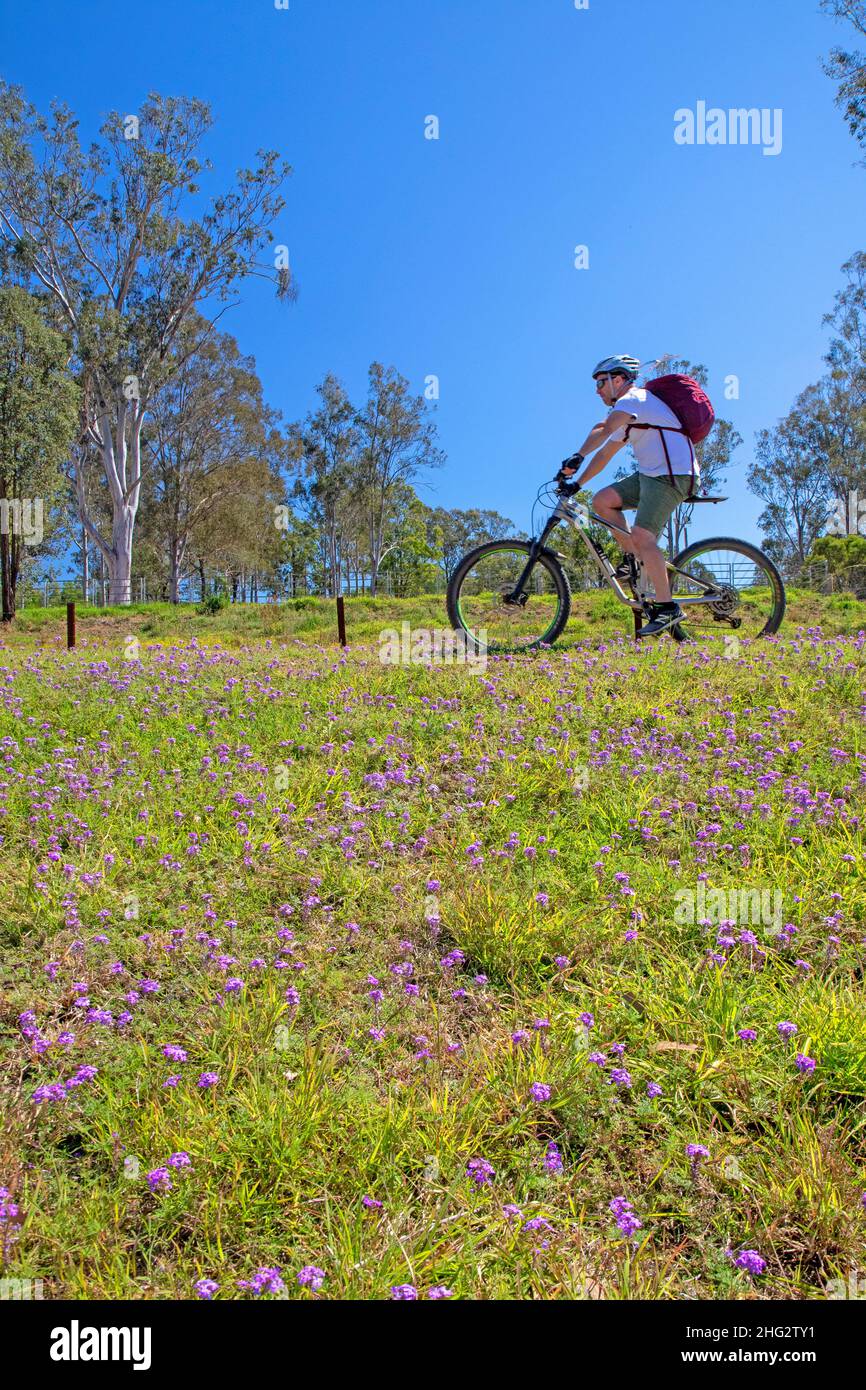 Brisbane valley rail trail hi-res stock photography and images - Alamy