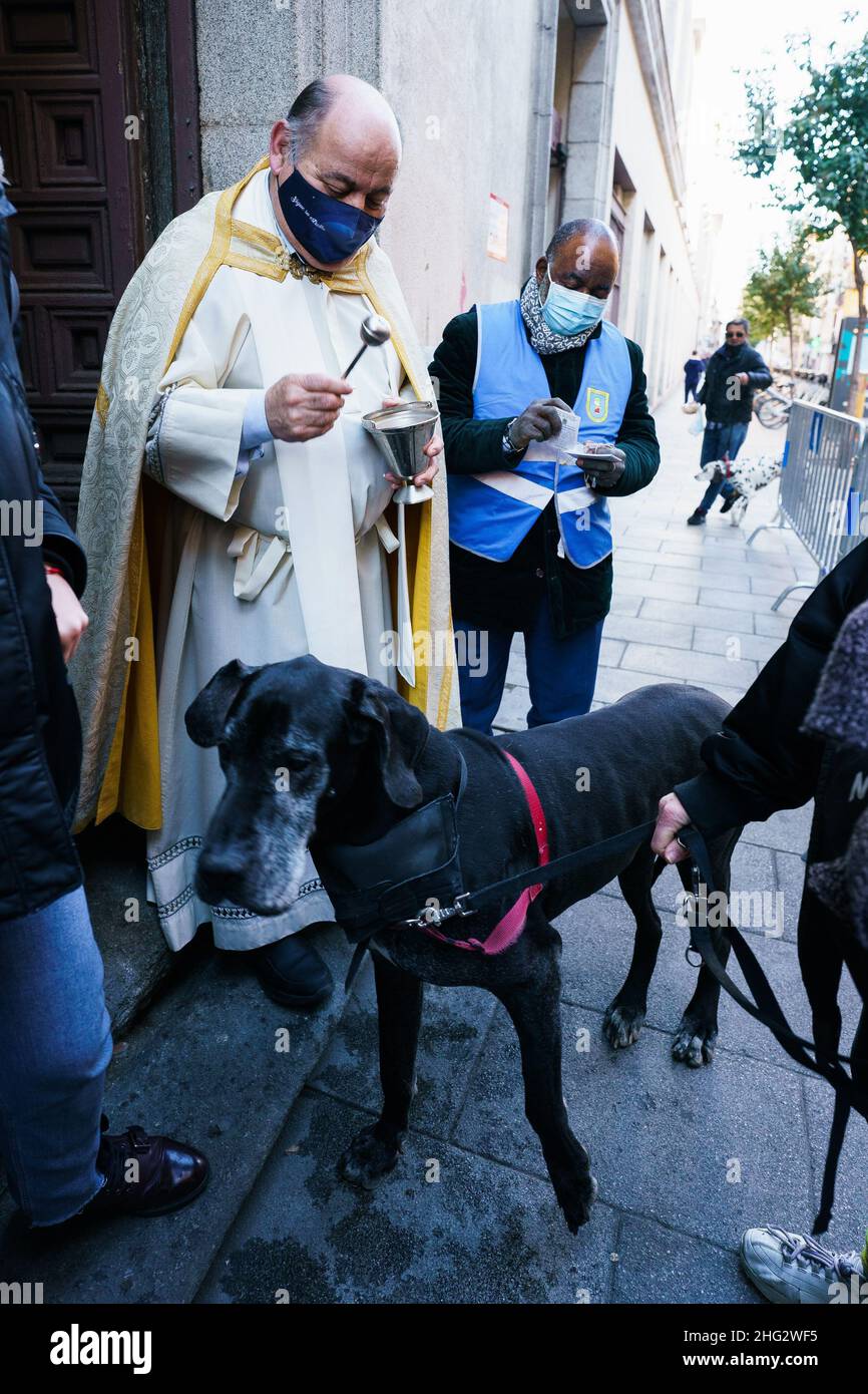 A priest is seen blessing a dog at the tradition of San Antonio ...