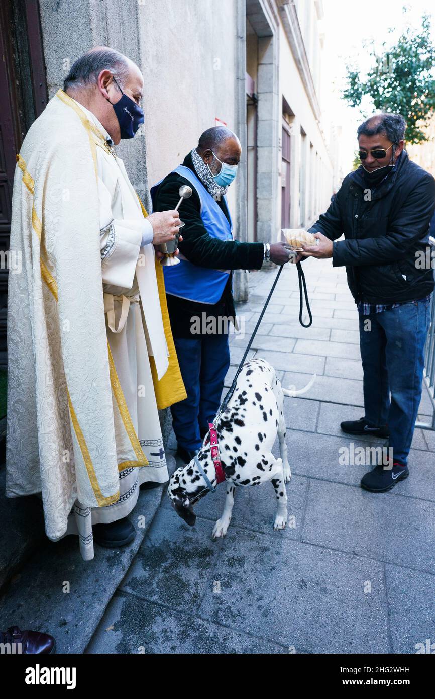 Priest blessing animal hi-res stock photography and images - Alamy