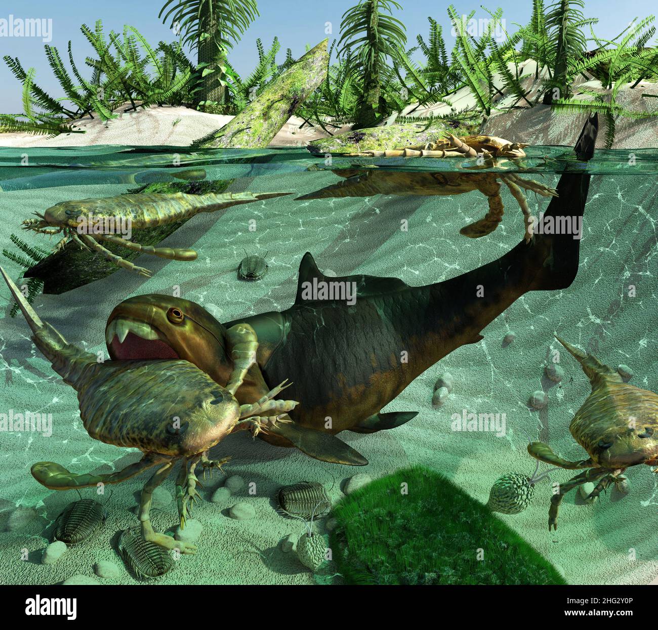 Devonian Period Underwater Plants