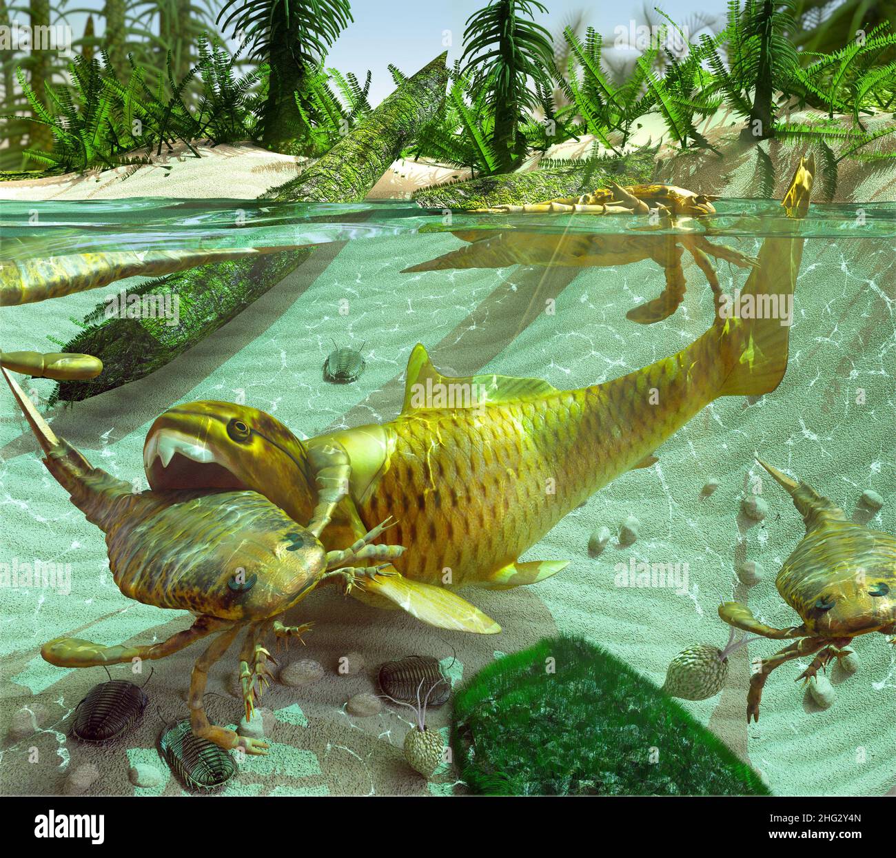 An illustration of a Devonian Period (419 to 358 million years ago ...