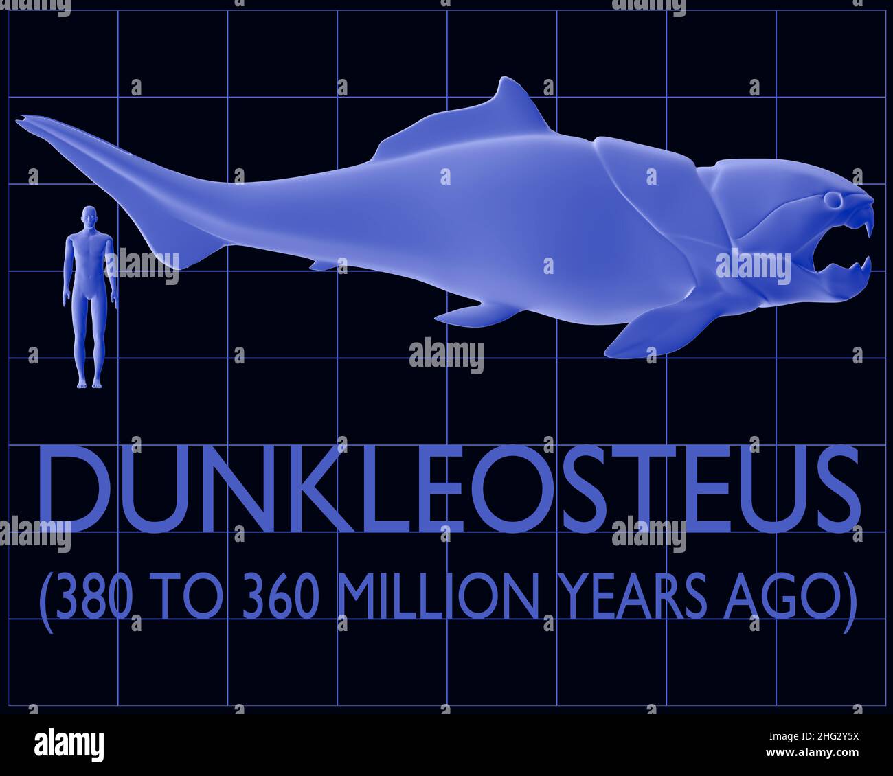 An illustration comparing an average height human with the enormous ...