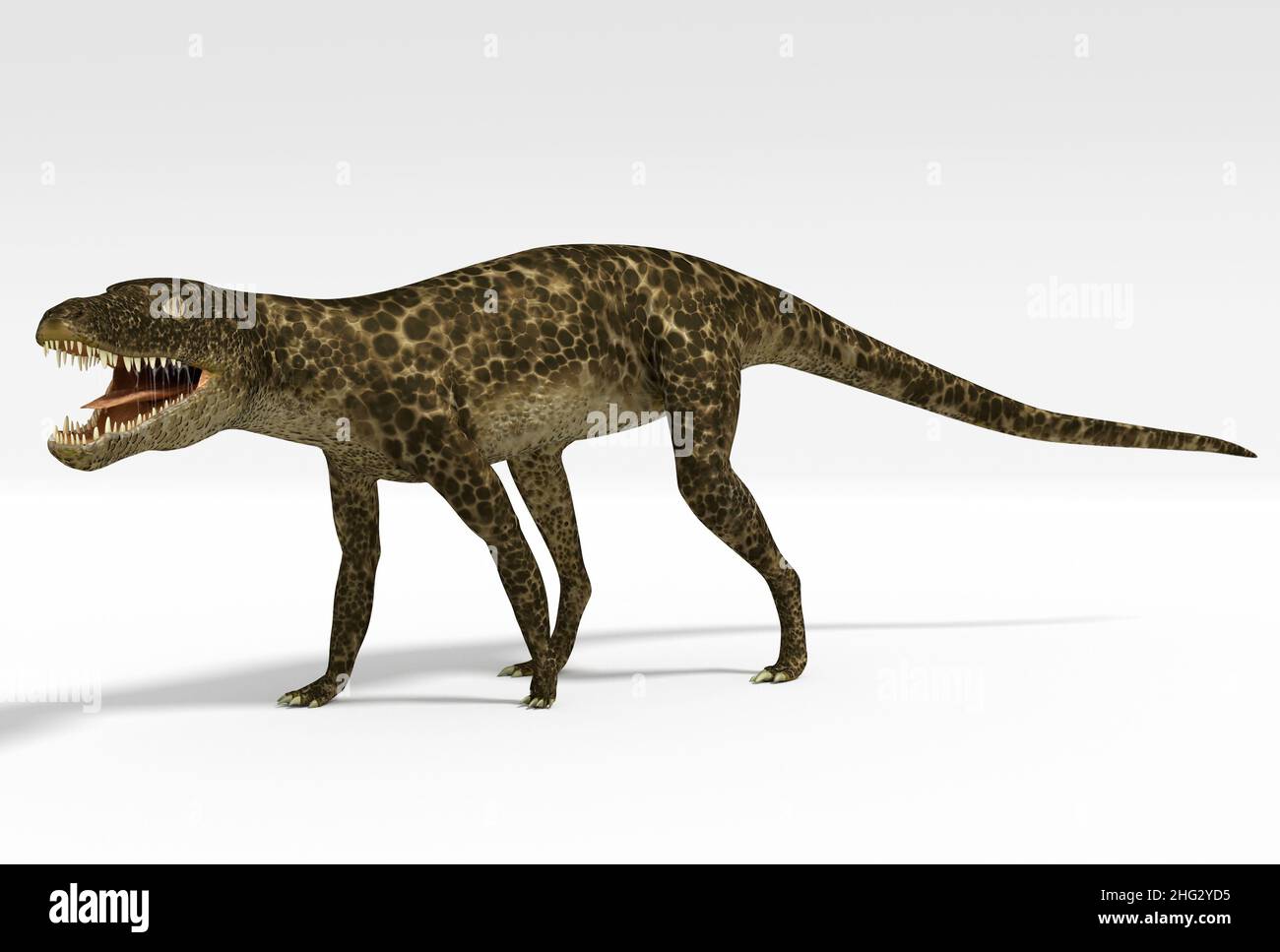 Proterosuchus Walking With Monsters