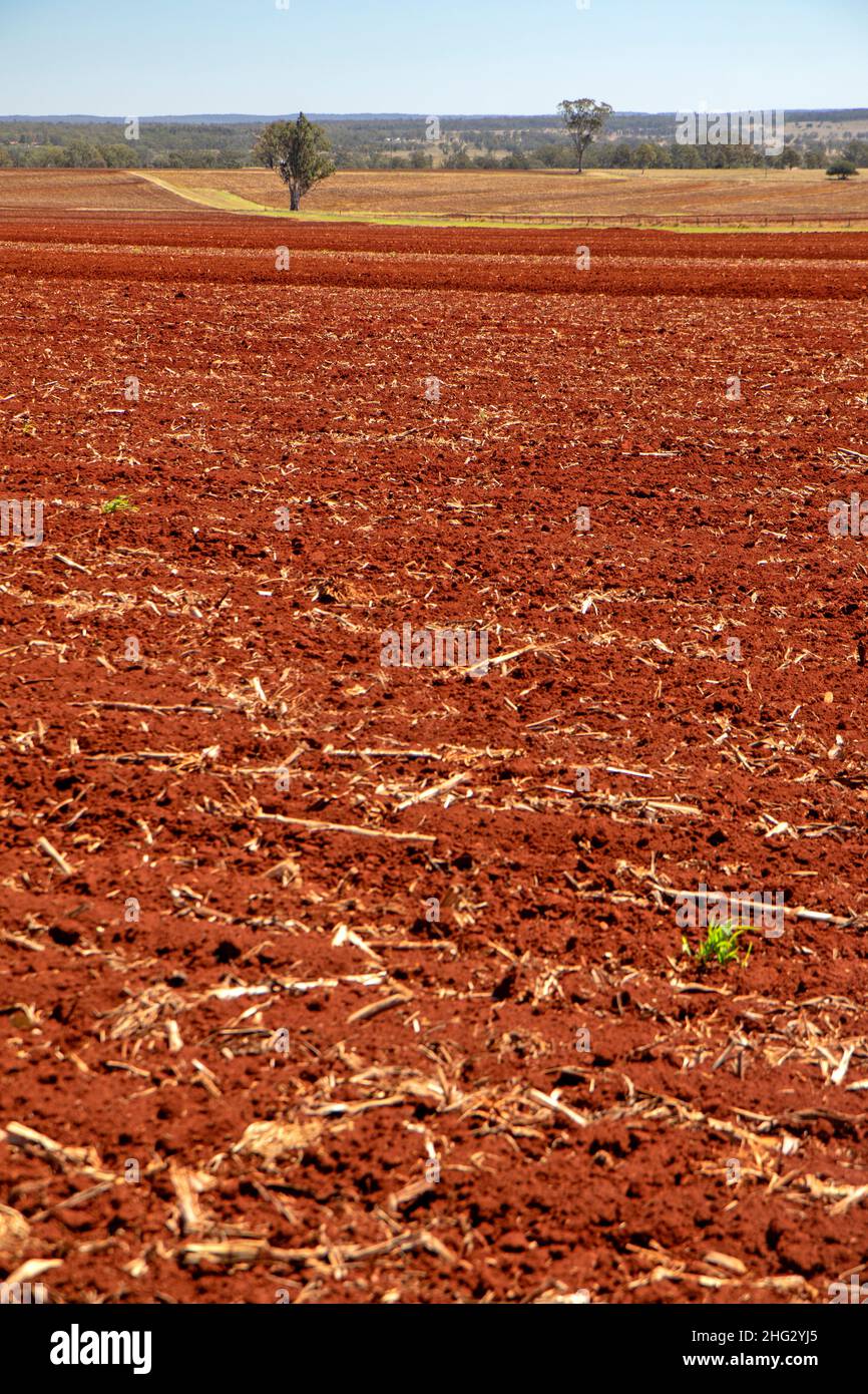 Red farming earth at Kingaroy Stock Photo - Alamy