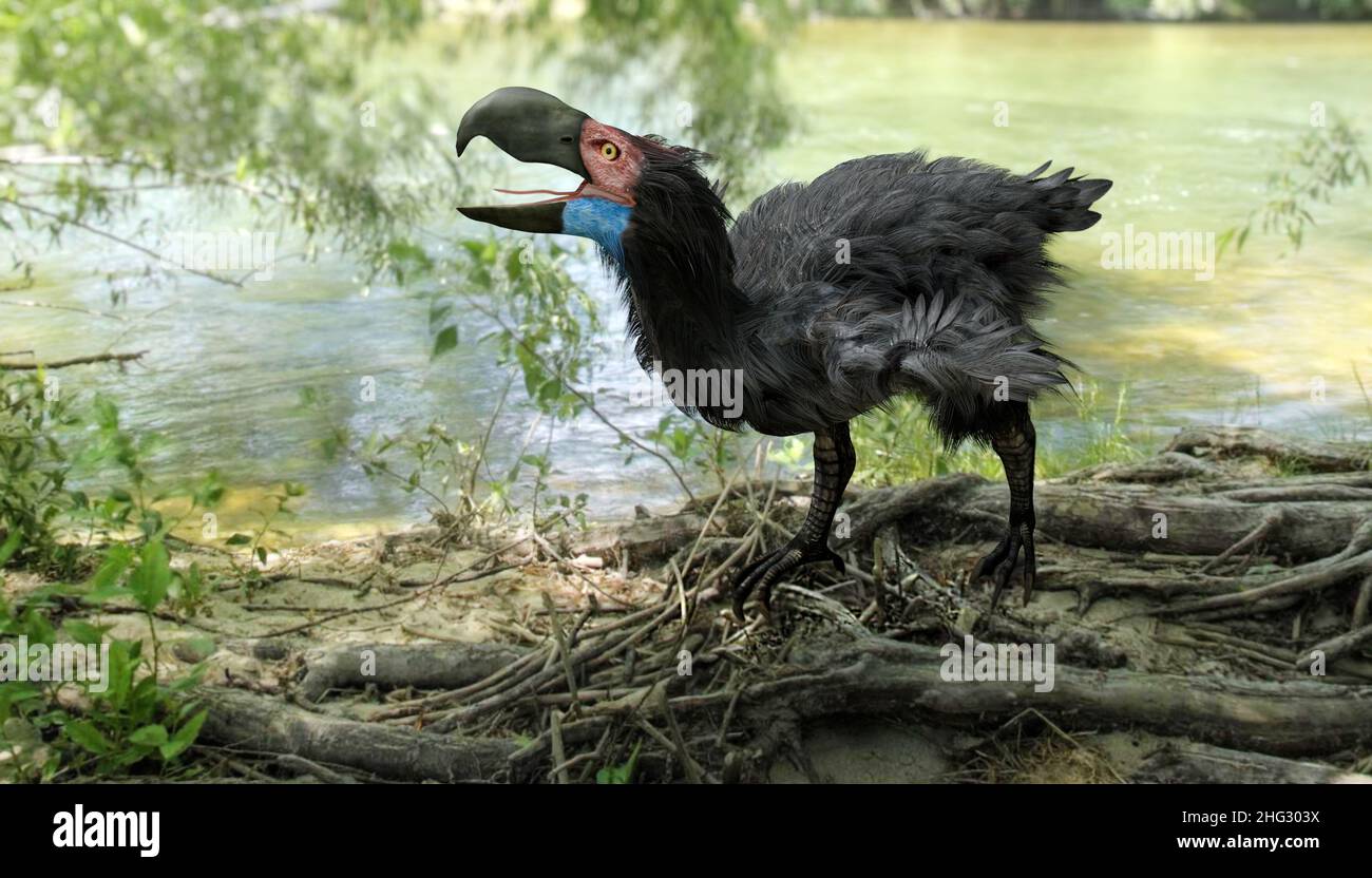 An illustration of Gastornis (Terror Bird) on a river's edge. Gastornis ...