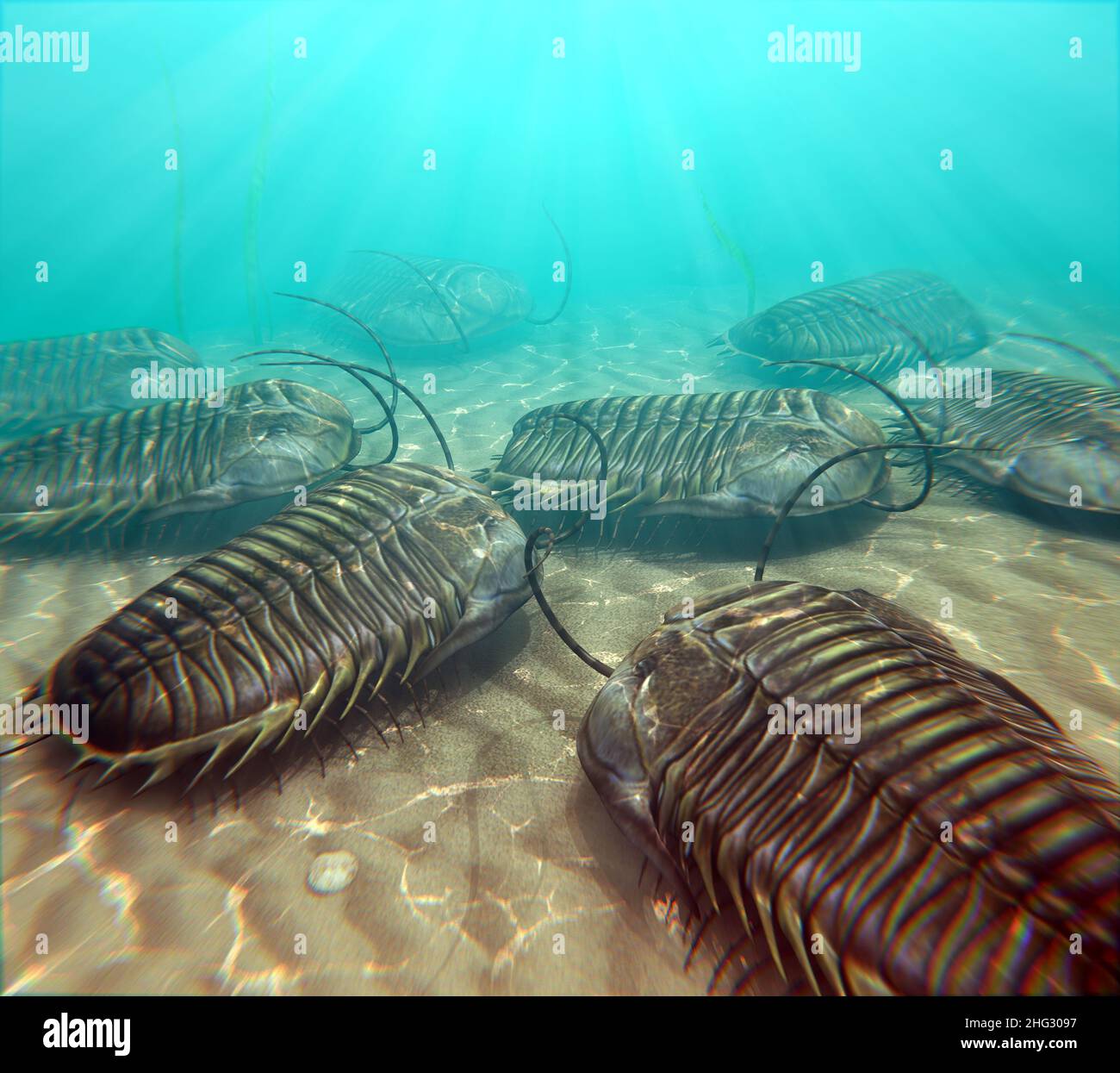 Trilobites are a well-known fossil group of extinct marine arthropod ...