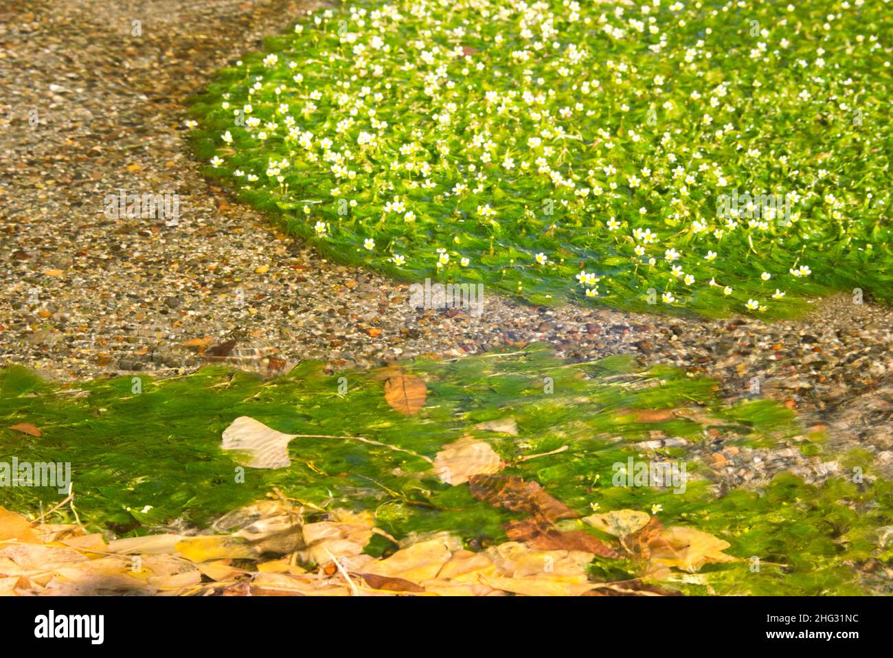 Makino japan hi-res stock photography and images - Alamy