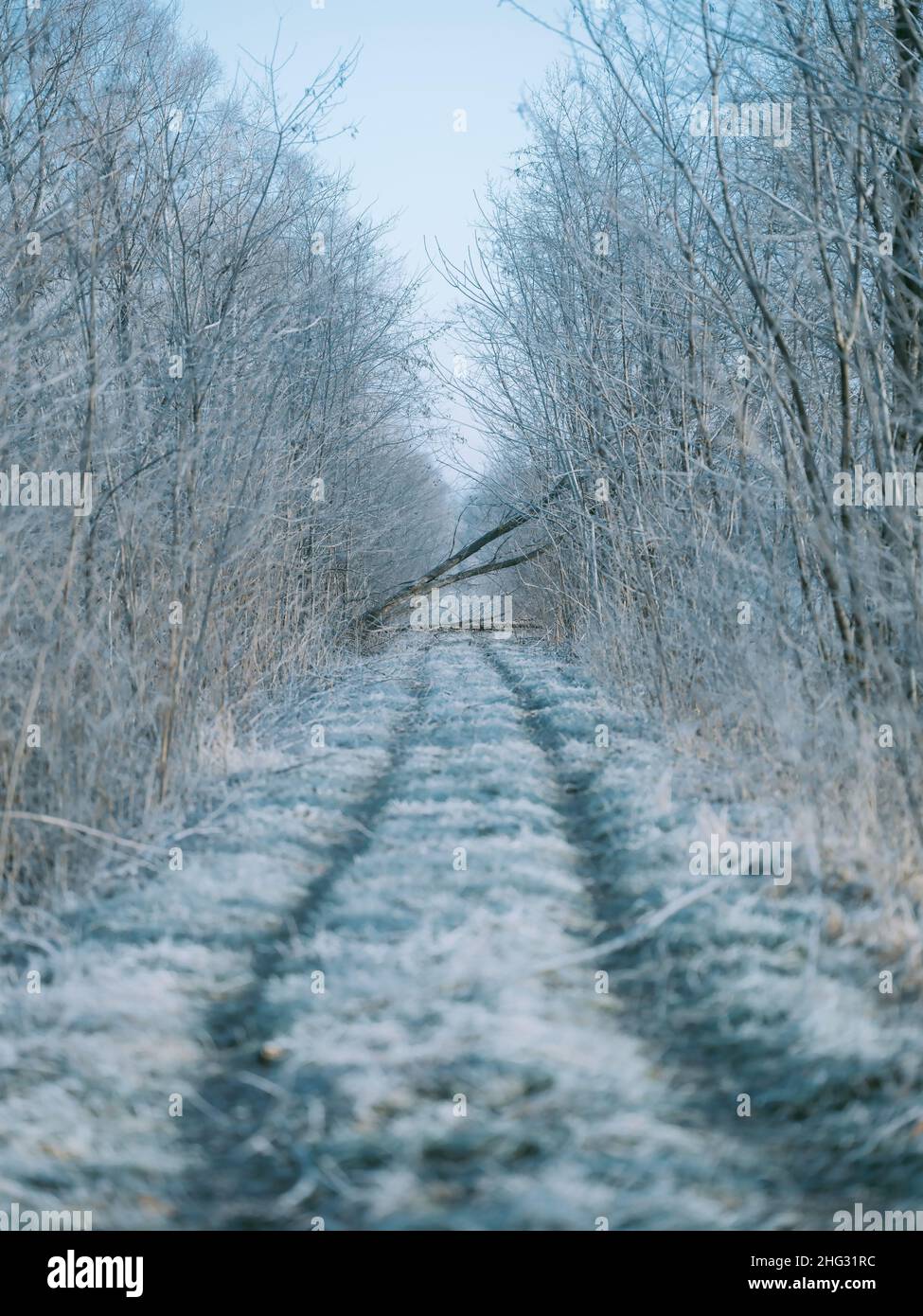 Dead End Road Stock Photo - Alamy