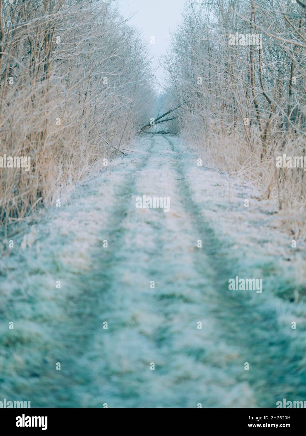 Dead end path hi-res stock photography and images - Alamy