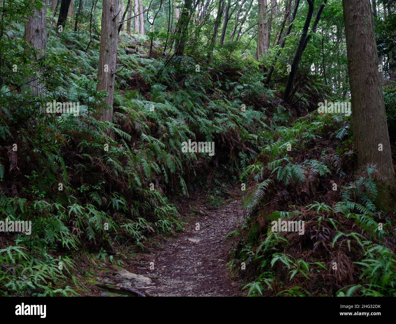 Kumano Kodo, Kinki Region, Japan Stock Photo - Alamy