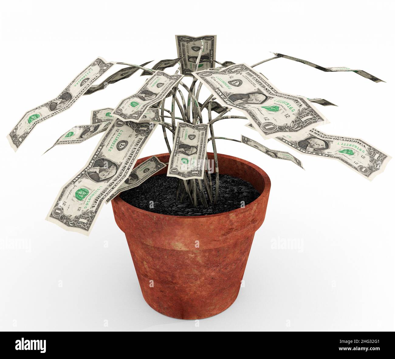 Money Tree An illustration related to growing wealth or the phrase on ...