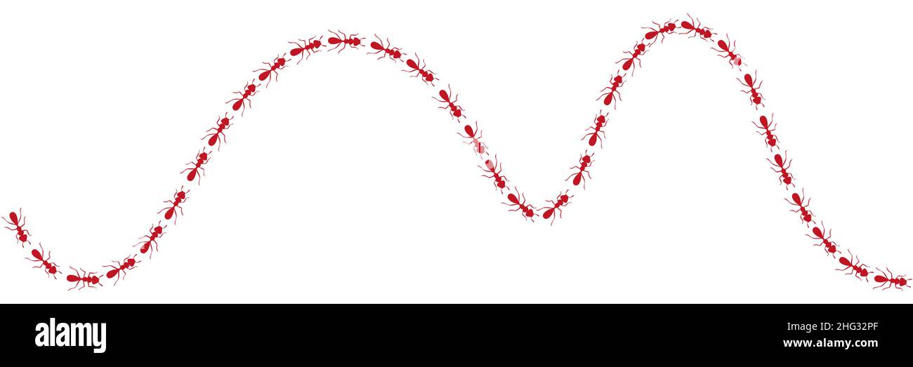 Worker ants trail curve. Red ant path isolated in white background. Vector illustration Stock ...