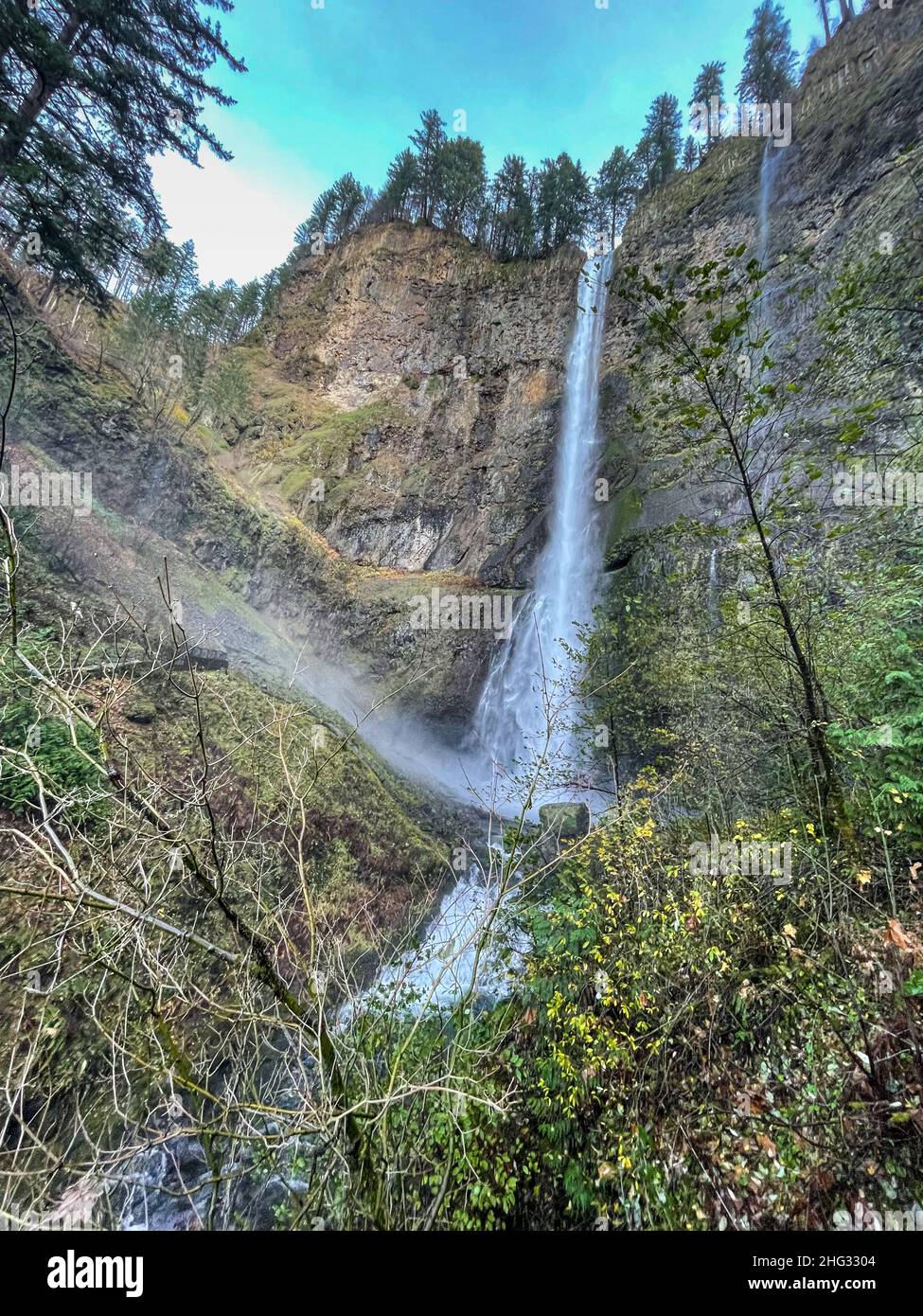 Portland oregon forest park trail hi-res stock photography and images ...