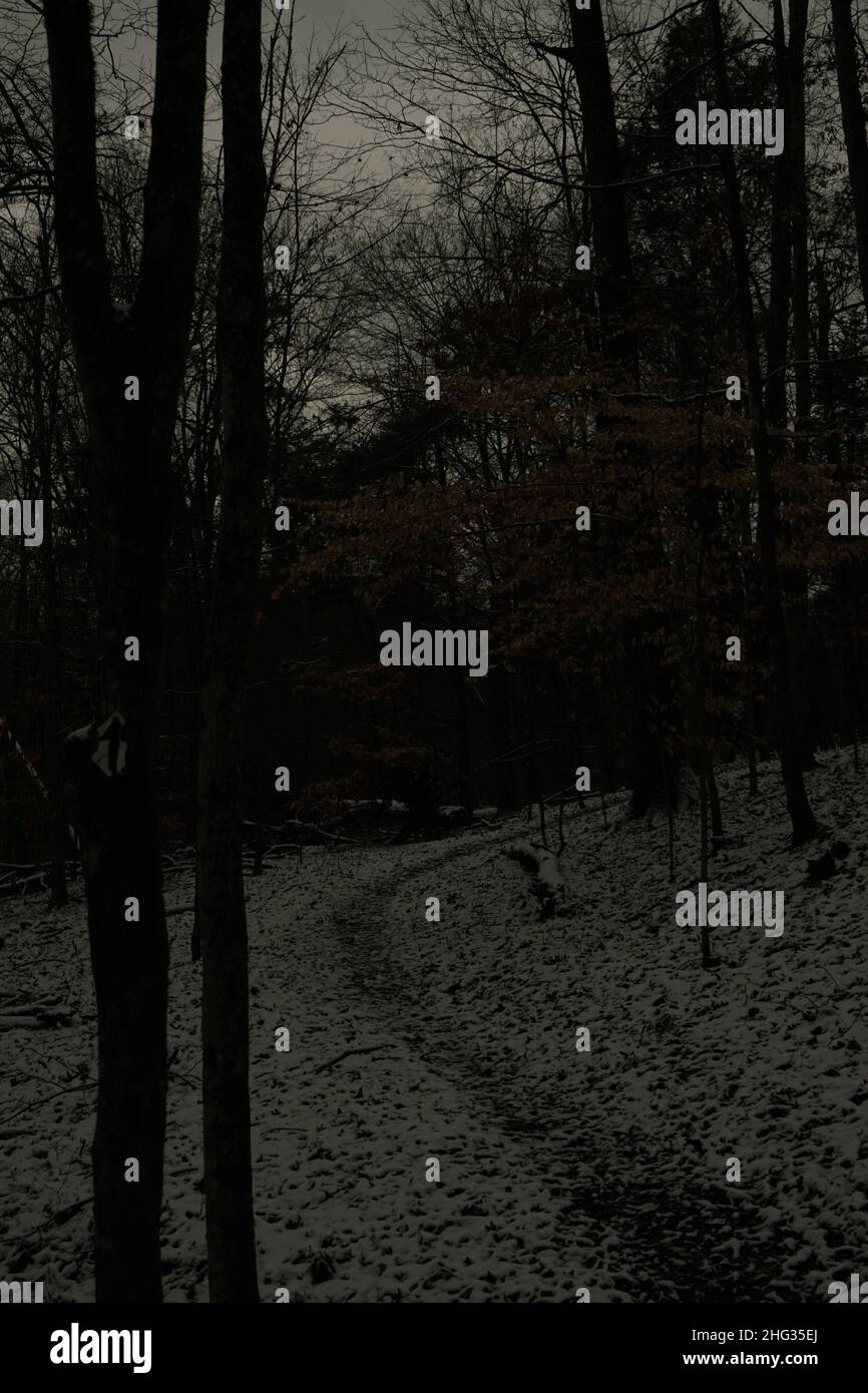 Tennessee Street Photography Stock Photo - Alamy