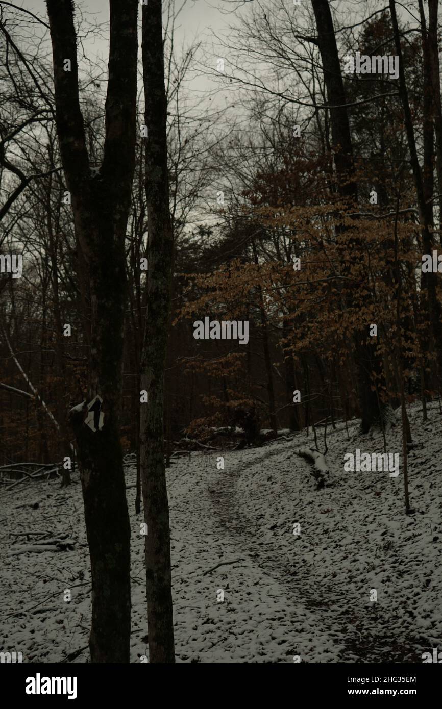 Tennessee Street Photography Stock Photo - Alamy