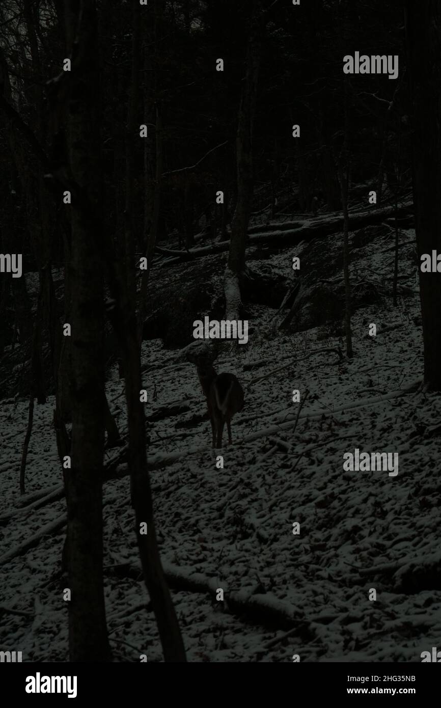 Tennessee Street Photography Stock Photo - Alamy