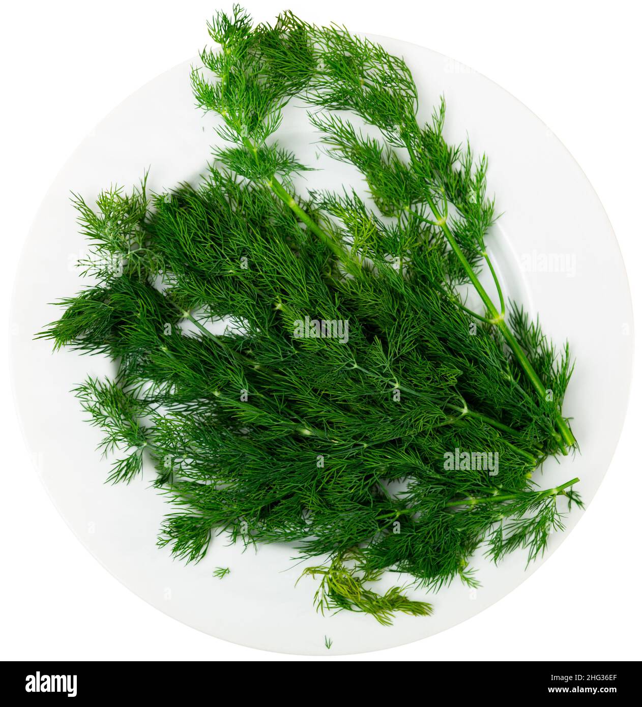 Dill sprigs hi-res stock photography and images - Alamy
