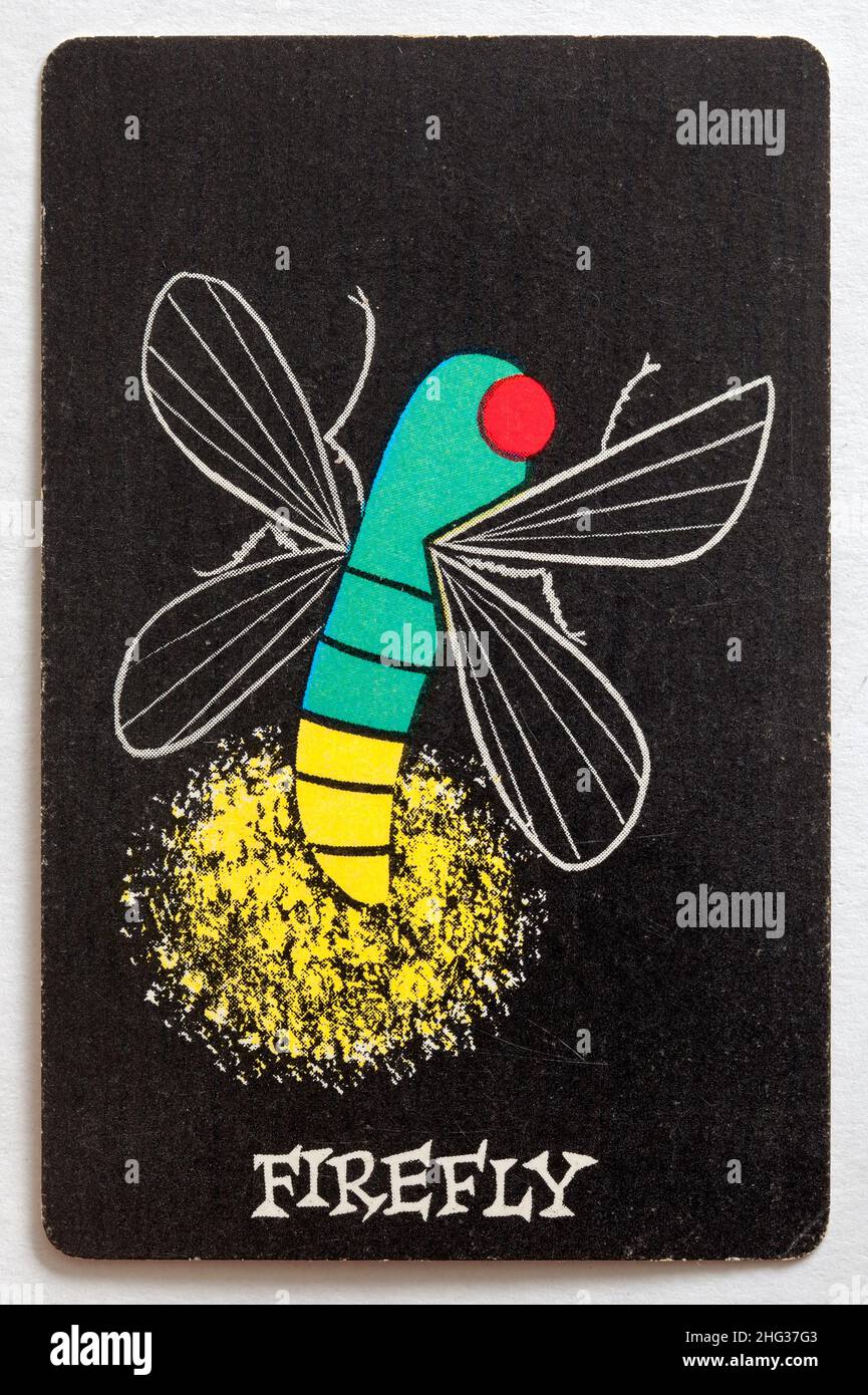 Skeeter Playing Card - Firefly Stock Photo - Alamy