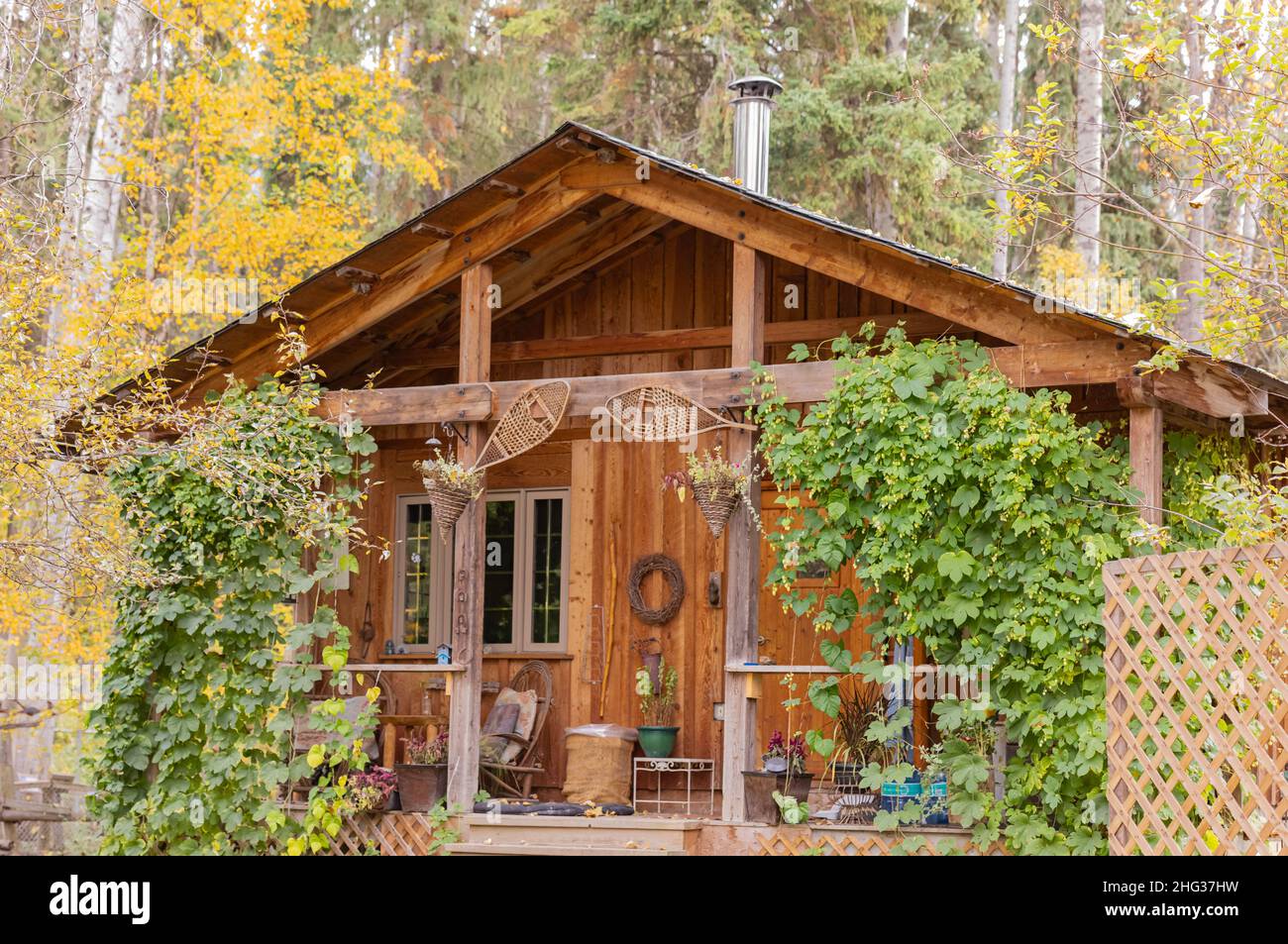 Log cabin exterior holiday home hi-res stock photography and images - Alamy