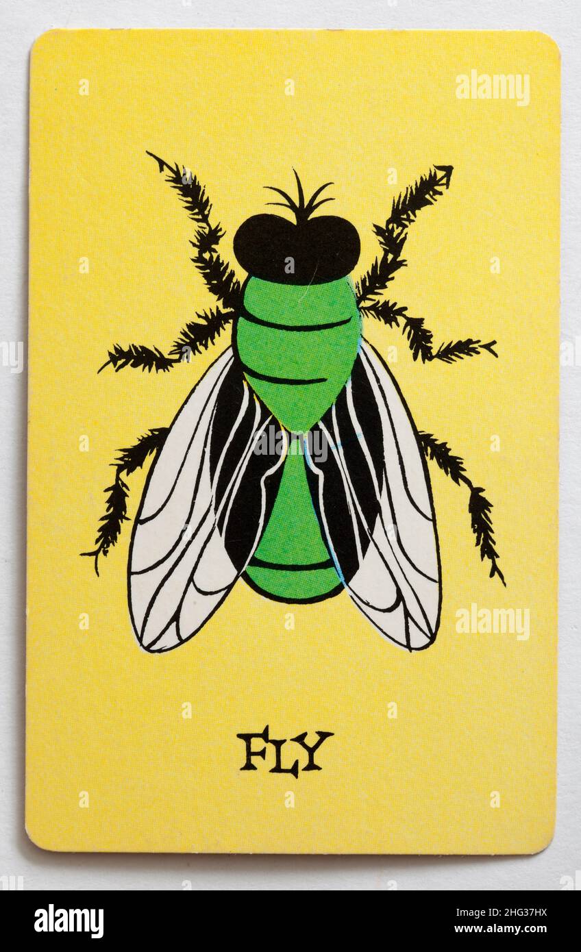 Skeeter Playing Card - Fly Stock Photo - Alamy