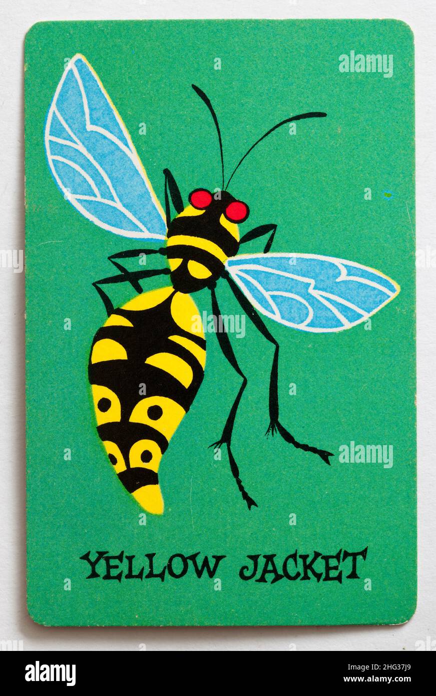 Skeeter Playing Card - Yellow Jacket Stock Photo - Alamy