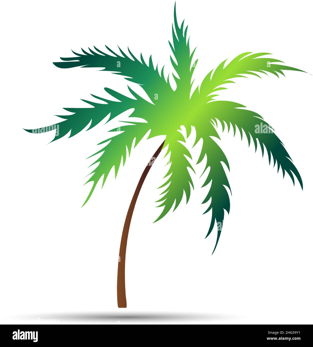 palm tree isolated on white background in vector format Stock Vector ...