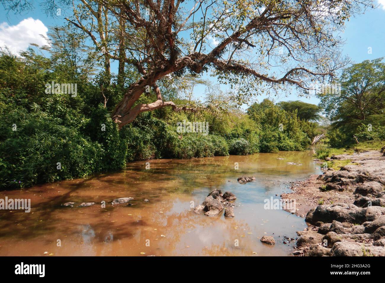 Nairobi river hi-res stock photography and images - Alamy